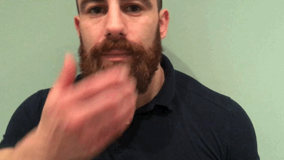 Learn how to apply beard oil | The 5 steps explained – The Beard Shed